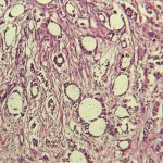 Home - DataBiox ..::: AI / Data Driven Solutions