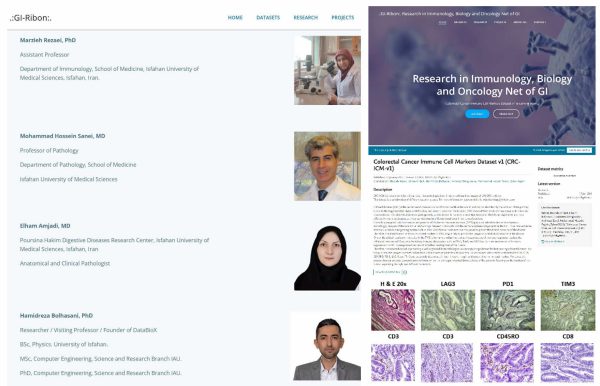 Colorectal Cancer Immune Cell Markers Dataset (CRC-ICM-v1) - DataBiox ...