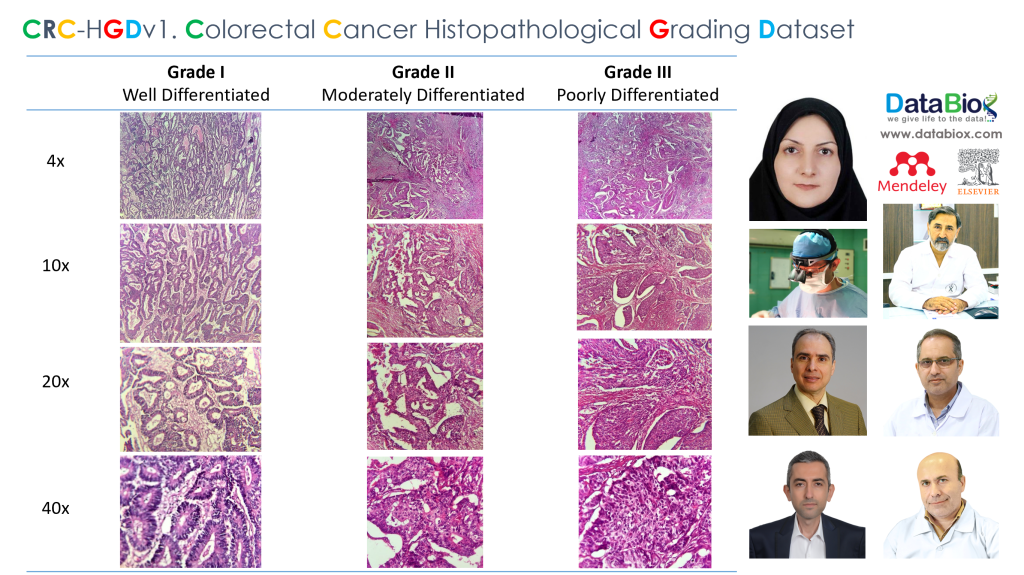 Home - DataBiox ..::: AI / Data Driven Solutions